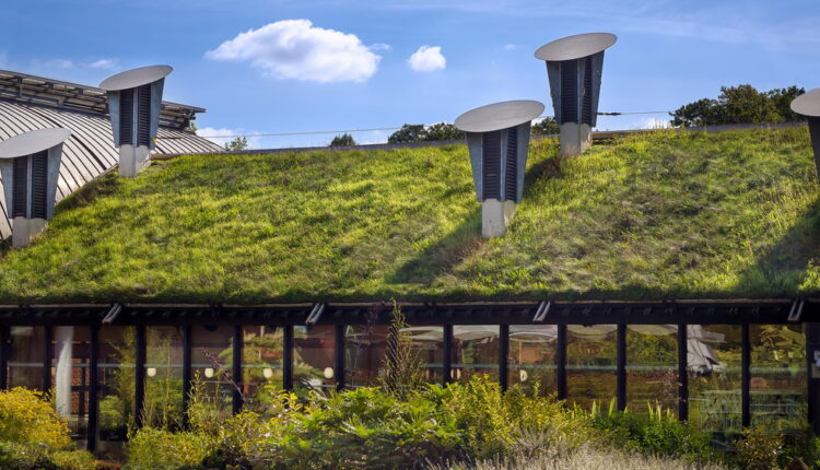 Green ‘Living’ Roof On Public City Library. Eco Friendly Buildin ...